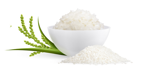 Leading Manufacturer & Exporter of Rice, Wheat, and Cumin Rice | Rathi Agro