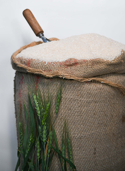 Leading Manufacturer & Exporter of Rice, Wheat, and Cumin Rice | Rathi Agro